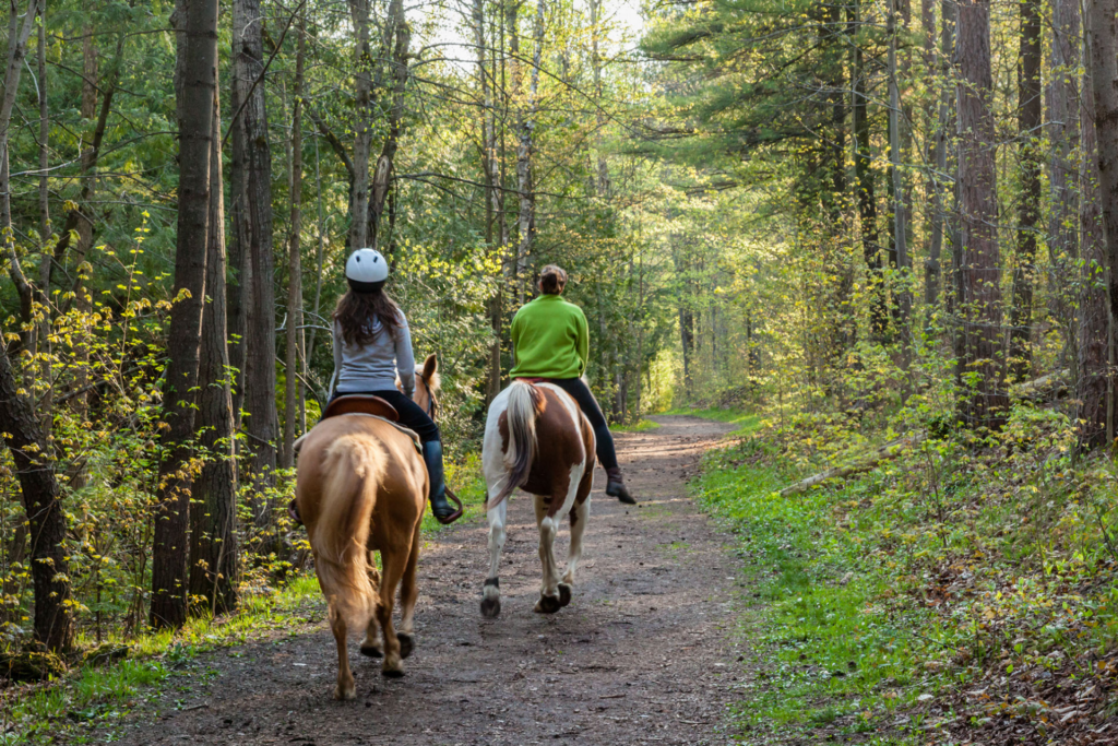 Horseback Riding in Mammoth Cave National Park - Lake Cumberland ...